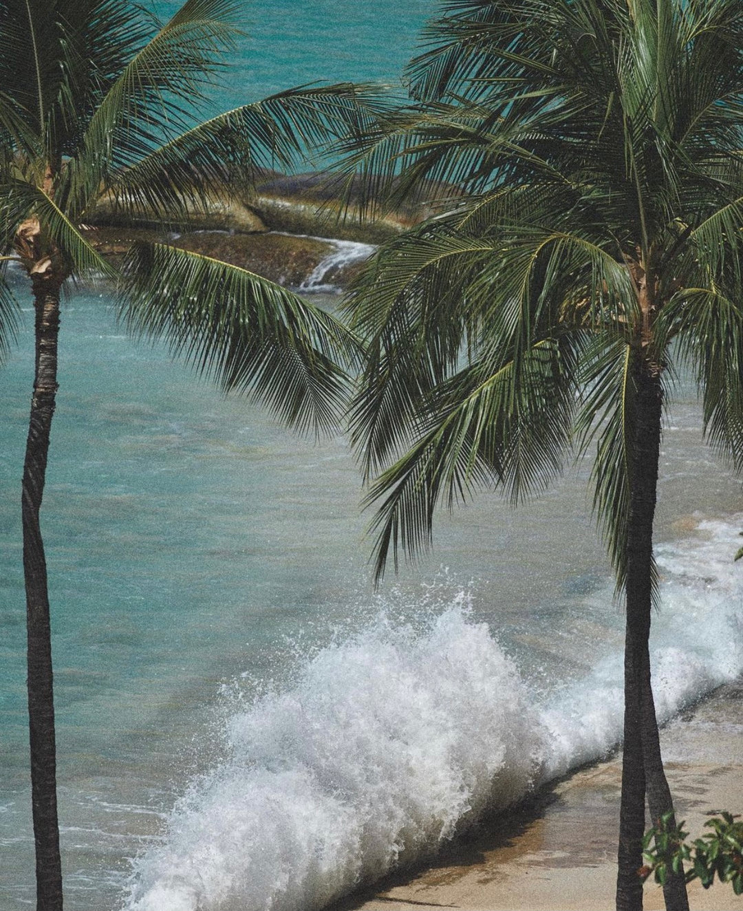 Artist feature - Mason Rose, from Australia to Hawaii – Maoi swim